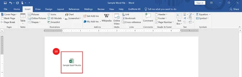 How to Embed an Excel File within a Word Document | Excel in Science