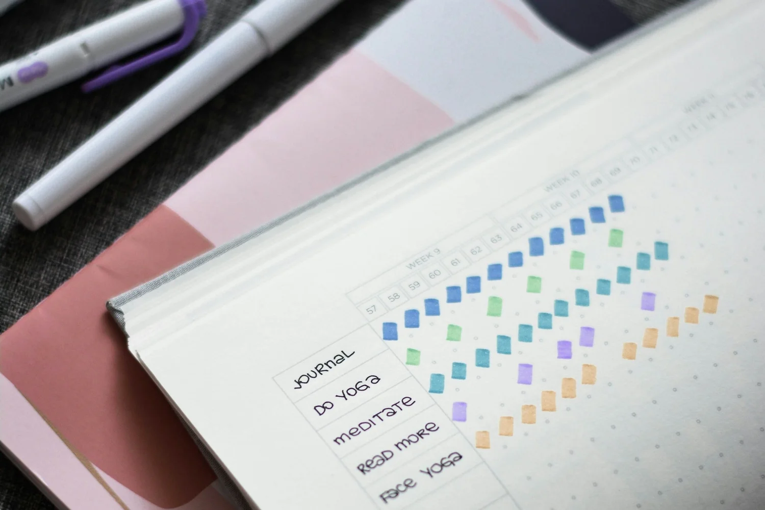 The Science Behind Daily Habits: How Rituals Can Transform Your Life ...