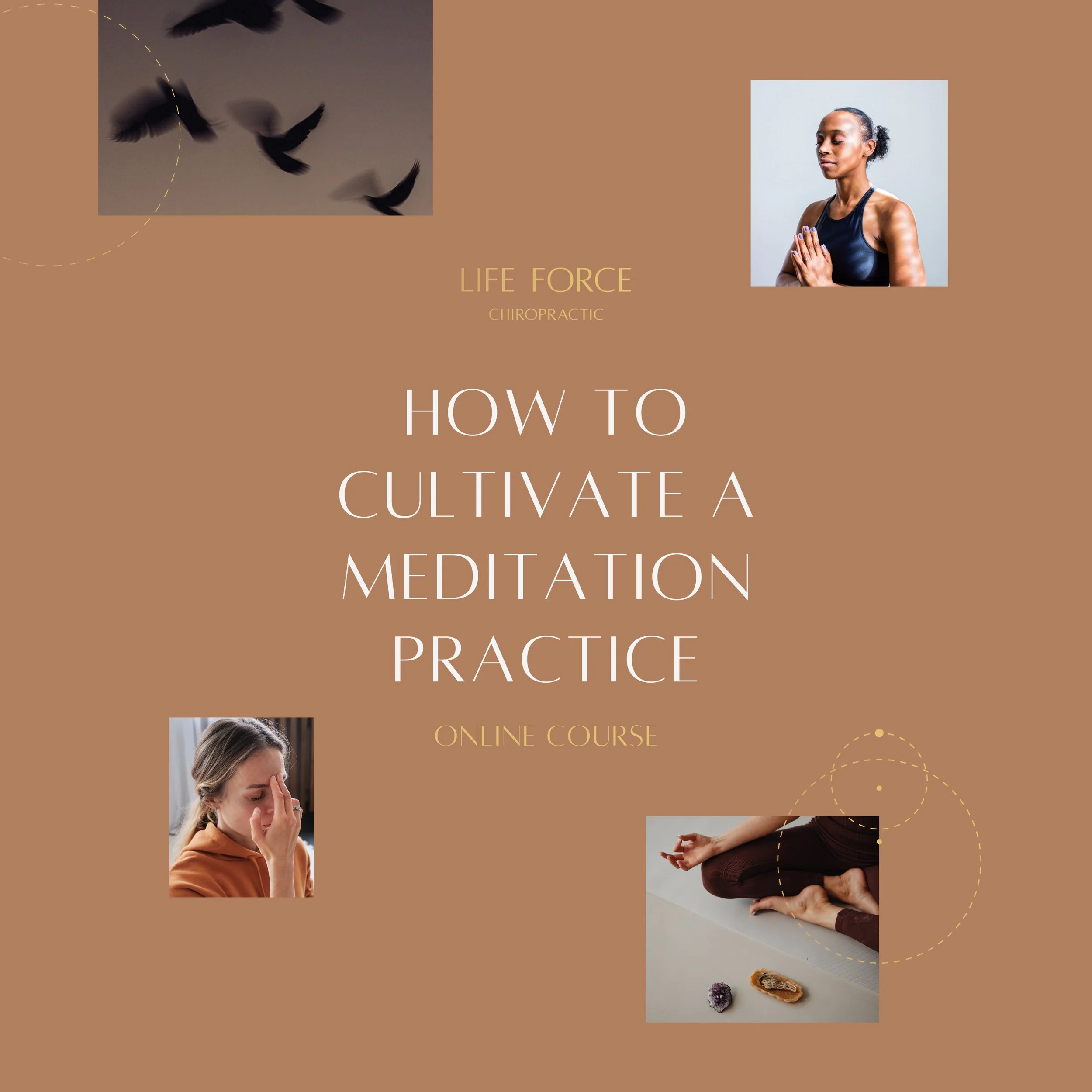 Building a Meditation Practice: 7-Day Guided Course