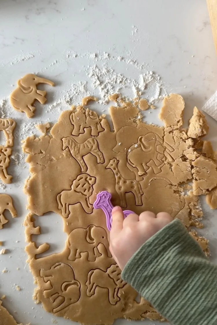 Animal Cookies — erin dittmer