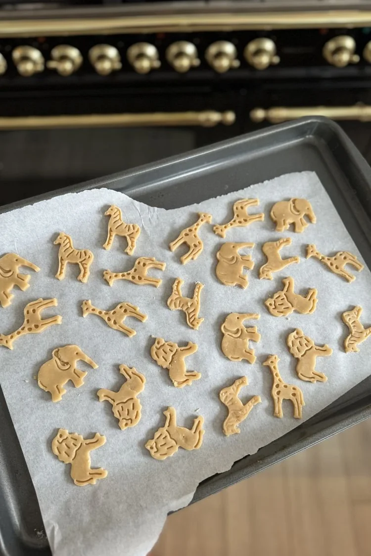 Animal Cookies — erin dittmer