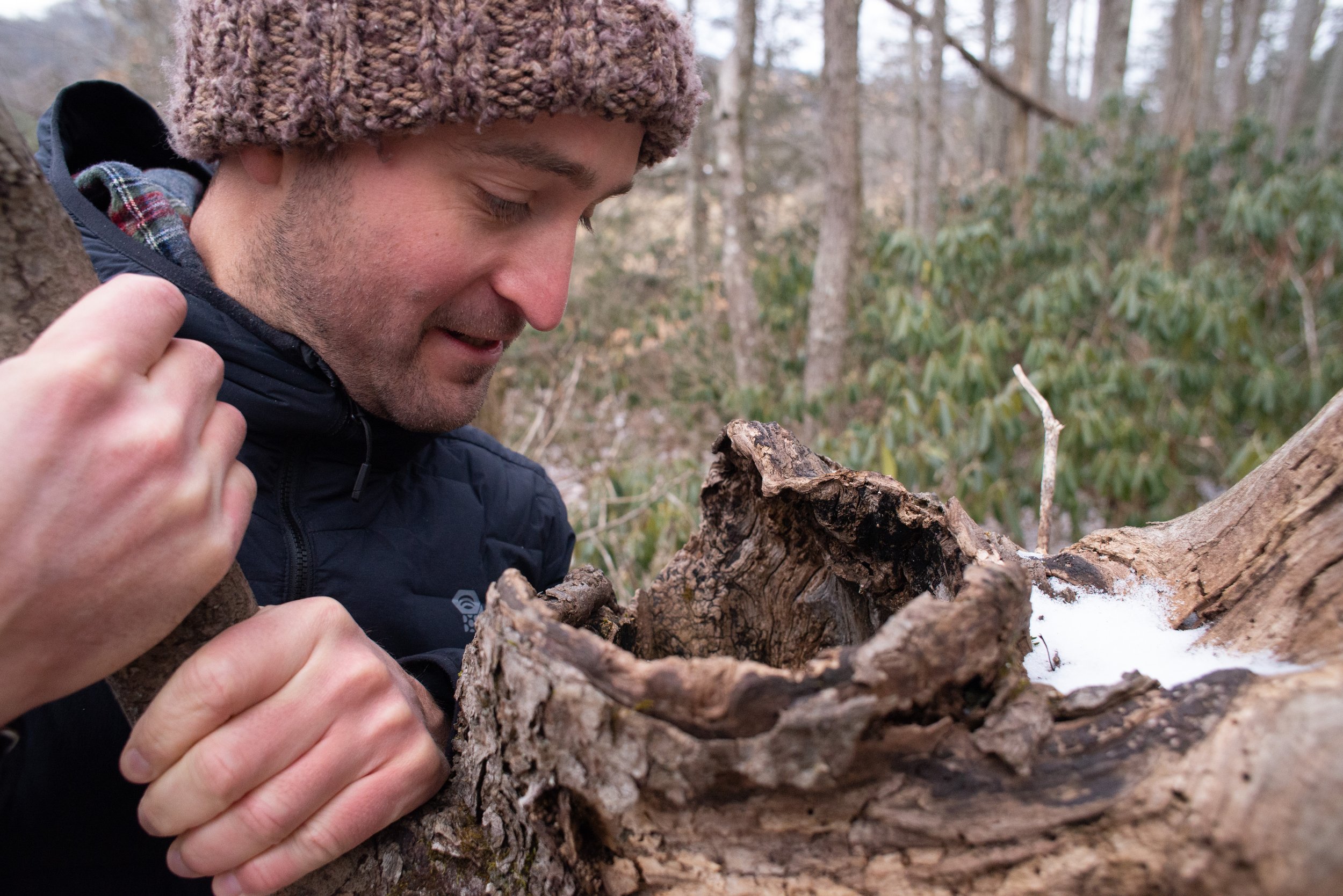 Camera Trap — Thomas Rowell