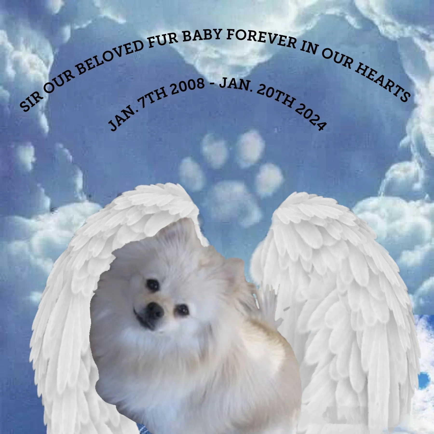 Blog 3 — Faithful Pets Cremation and Burial Services | Abingdon VA