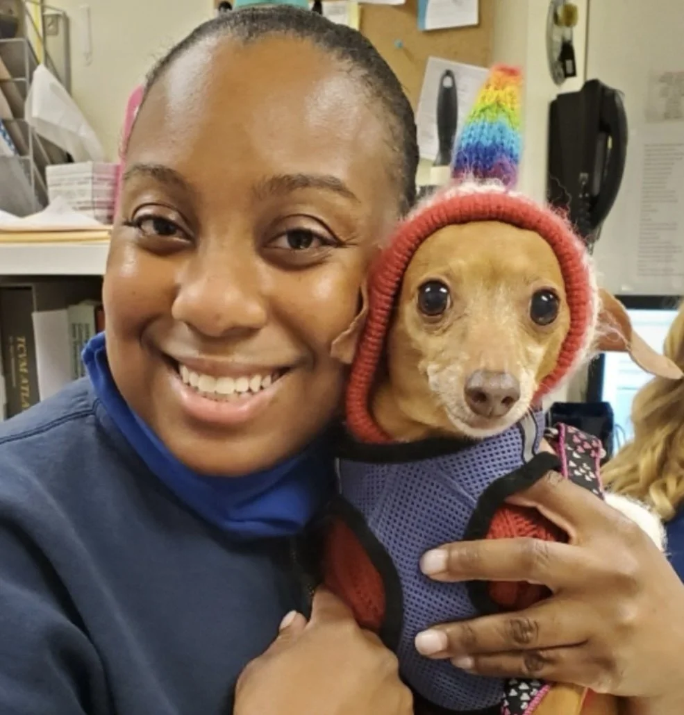 Our Team — Halo Veterinary Hospital