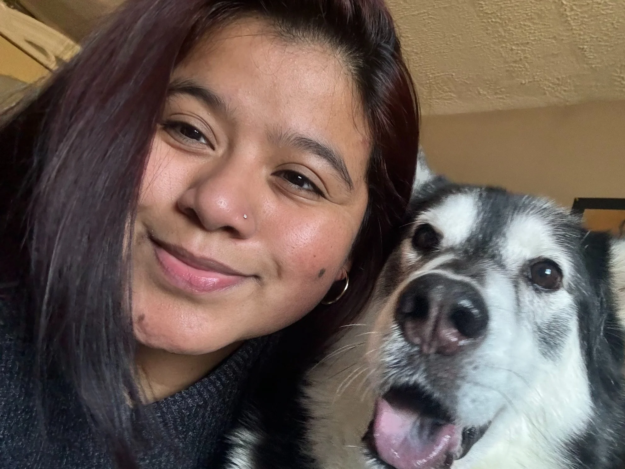 Our Team — Halo Veterinary Hospital