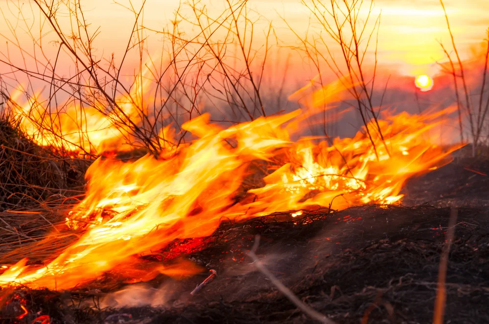 Using a Fire Pit for the First Time | Chiasson Smoke