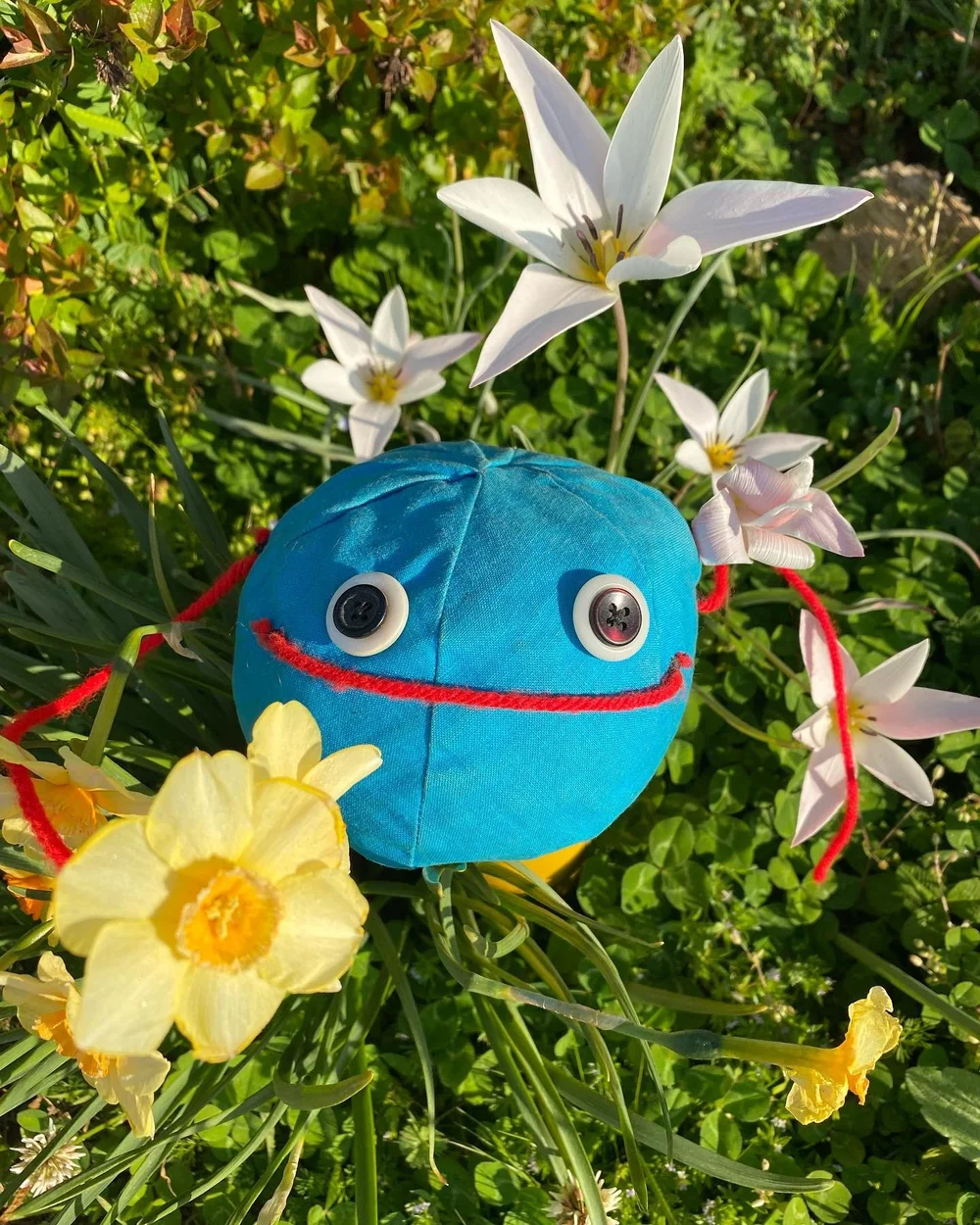 What is Mongo? — The Scrap Exchange