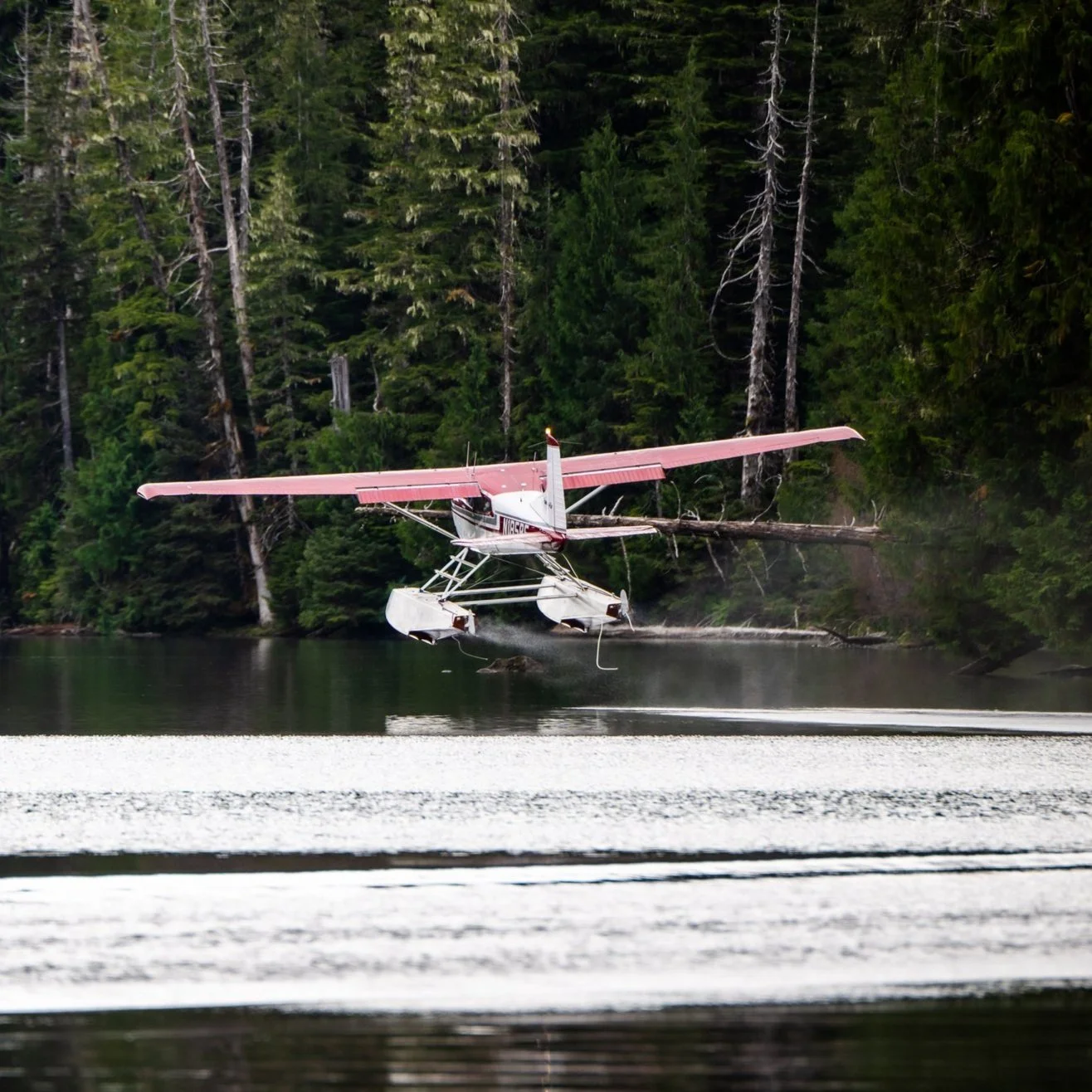 The Hook Up Fly Shop and Guide Service