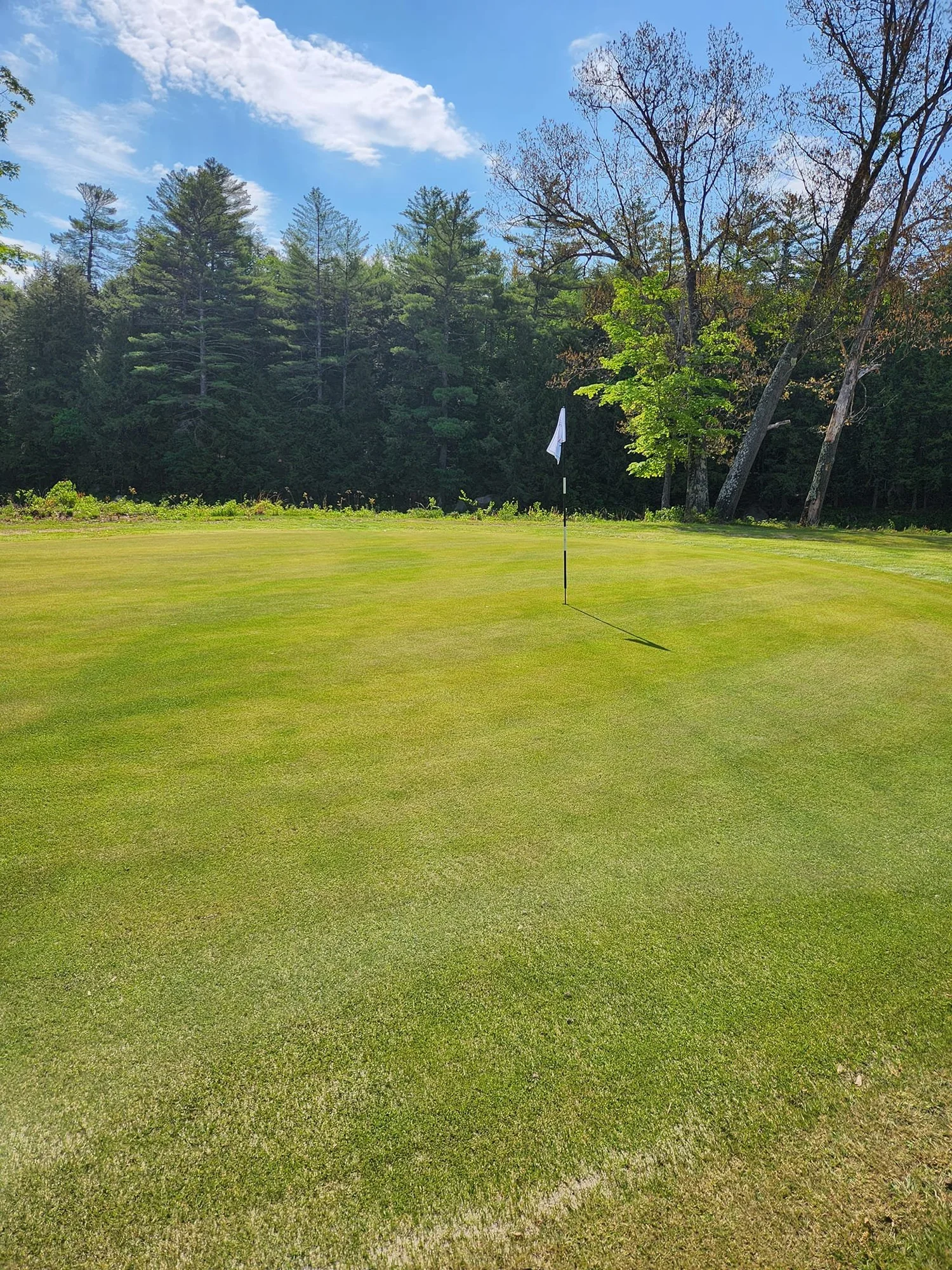 The Jack Golf Course