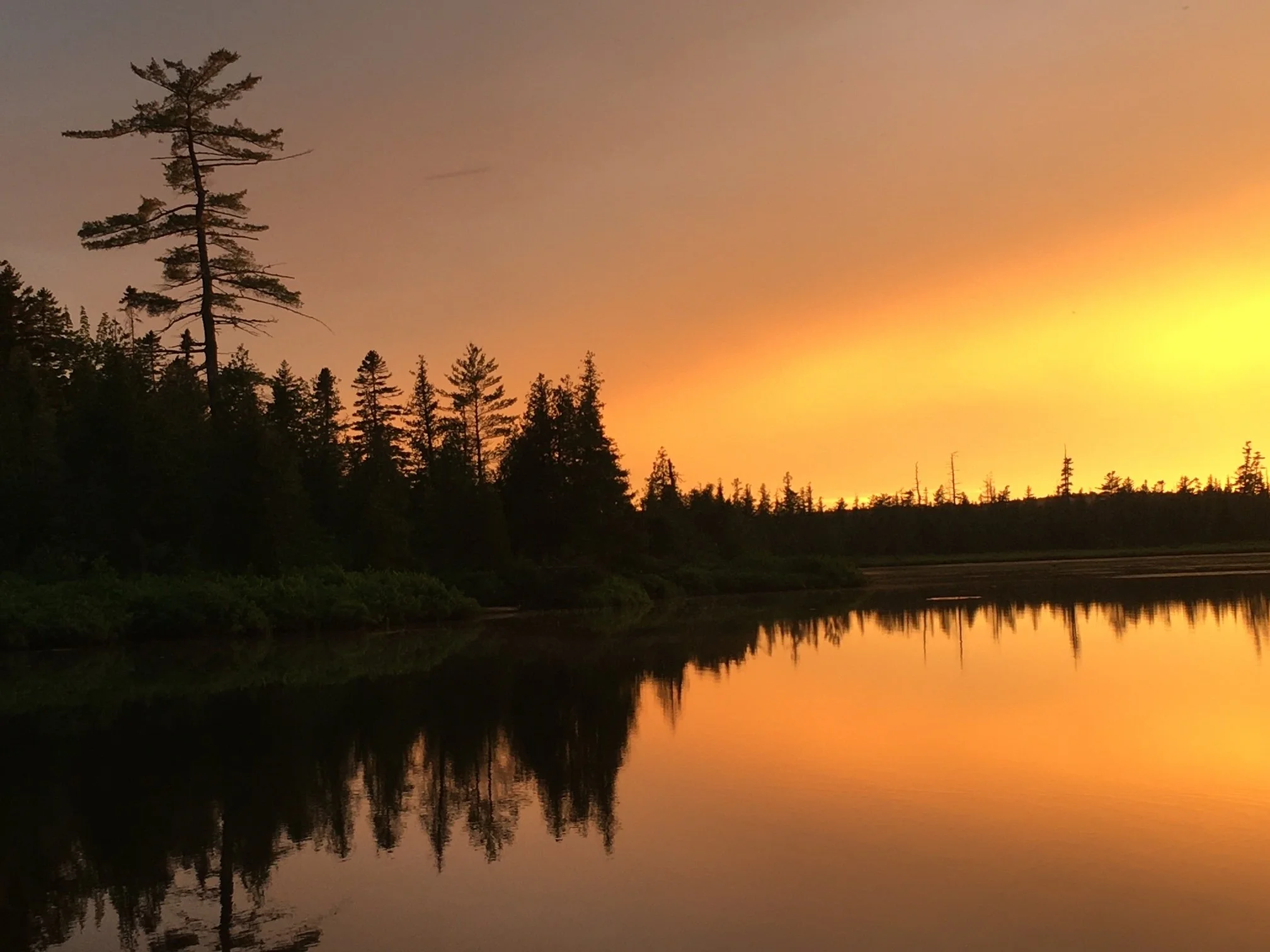 Outdoor Education and Wilderness Meditation — Wood Thrush Wilderness LLC