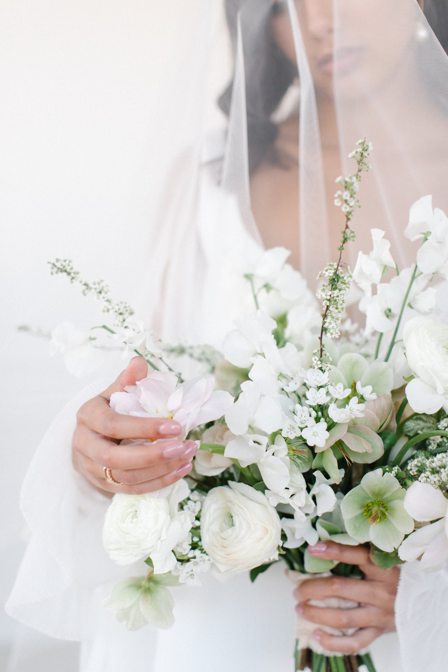 Carol Wang Photography