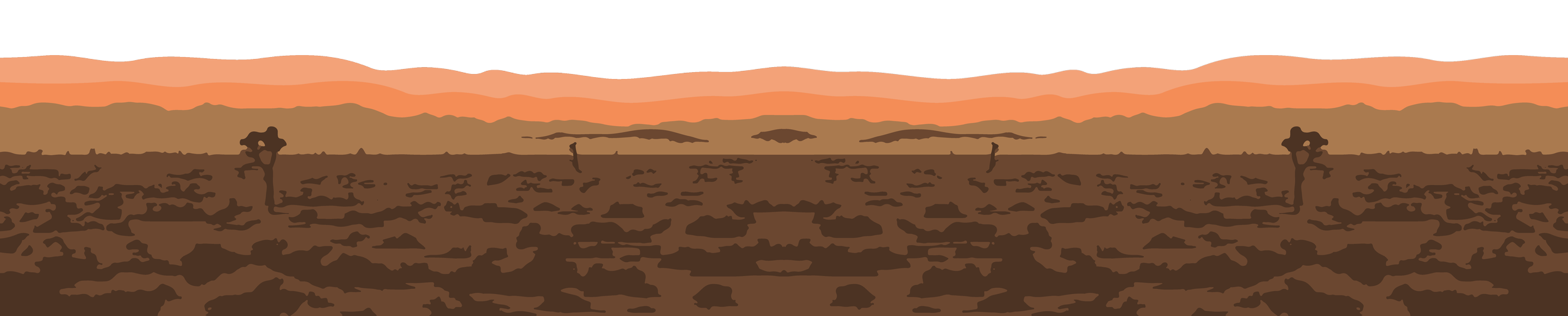 Photographer — Lauren Morrell Tabak