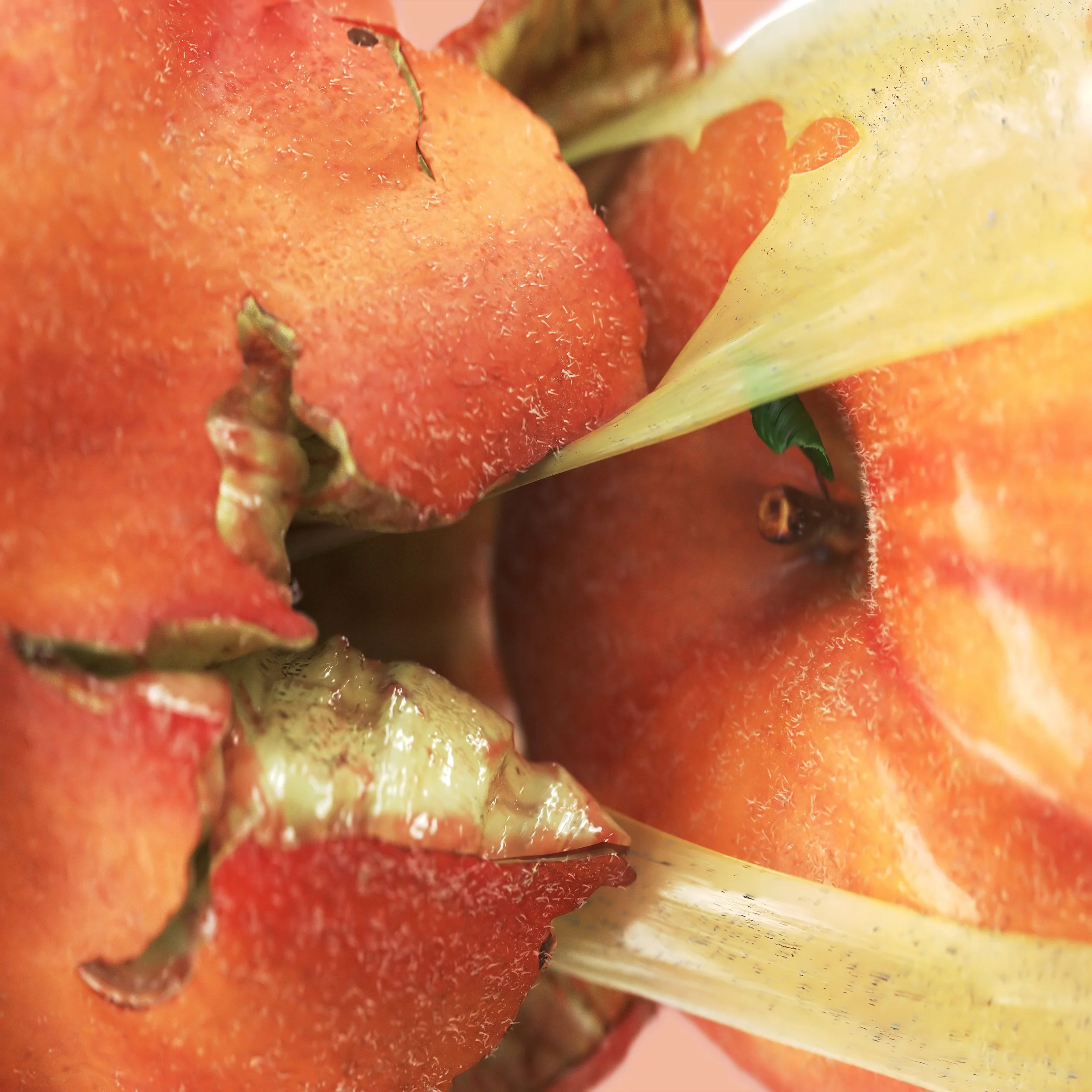 Playground — Pixel Plucker