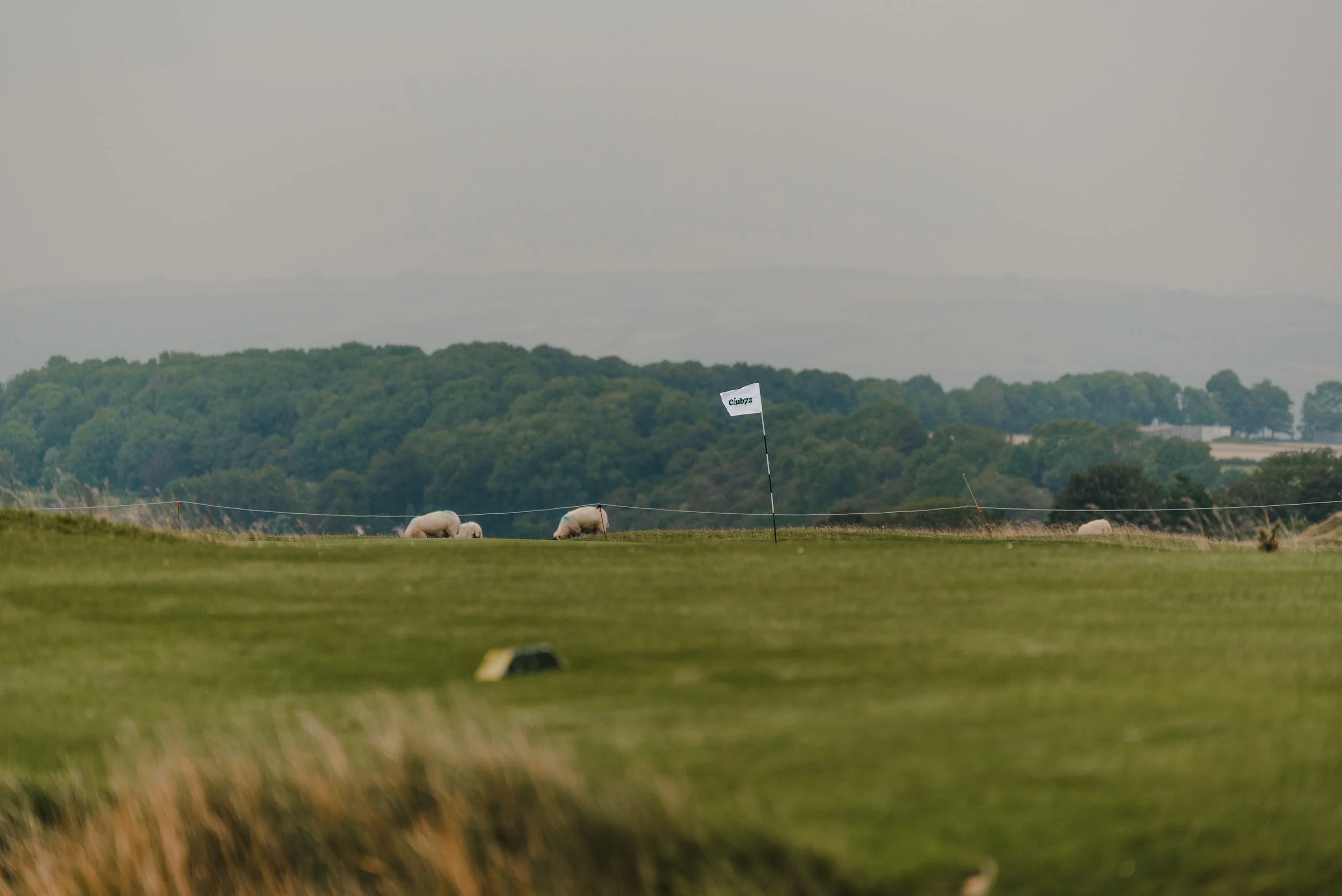 Brands — Club72 Golf