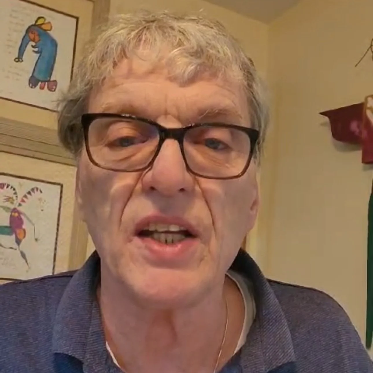 Immune support enhancement from colds and viruses — Virogo