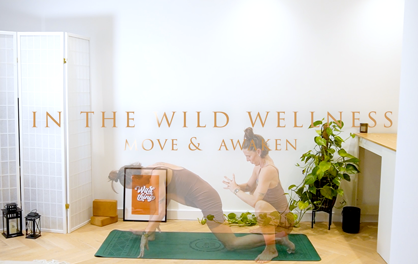 In The Wild Wellness - Yoga & Wellbeing - Online Yoga - UK Retreats - Community