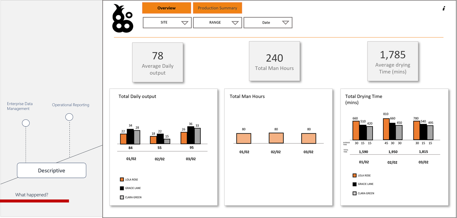 Descriptive Analytics — Endeavour Information Solutions