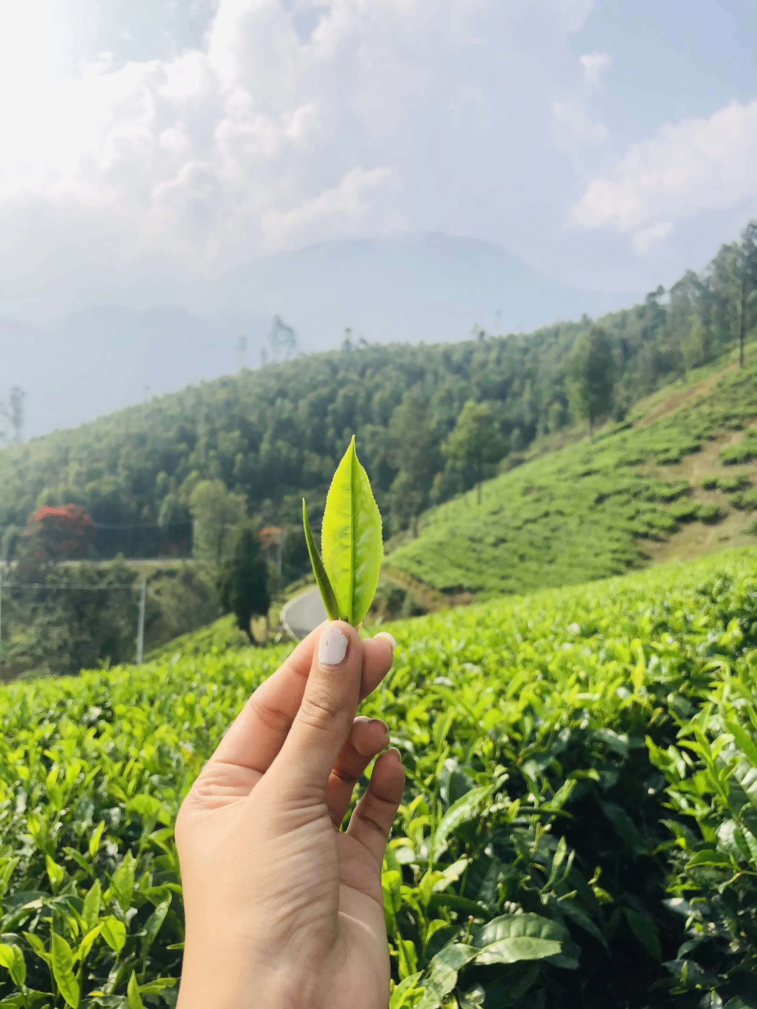 Explore the world with Shivani's Travelverse