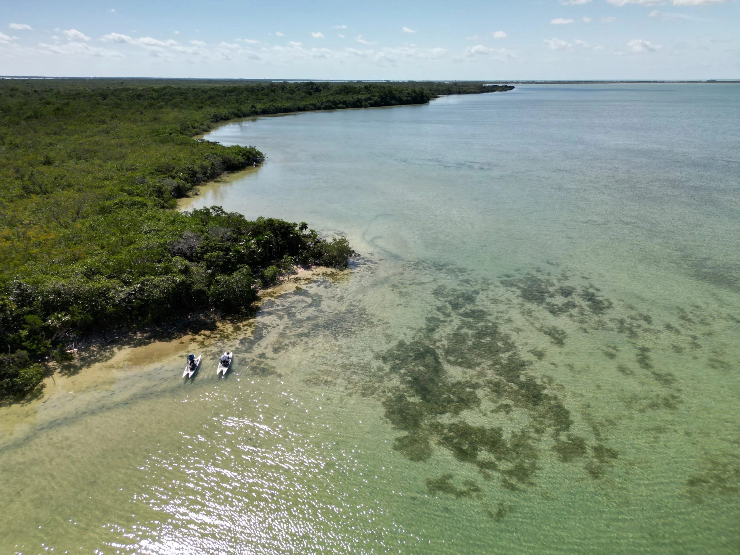 Gear — Cayo Frances Farm & Fly