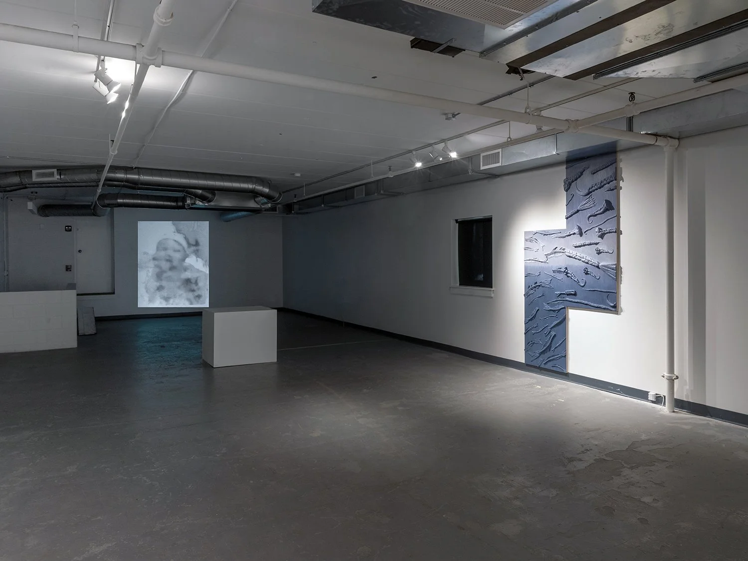 LUCY KIM DEAD OR DORMANT — ODDKIN