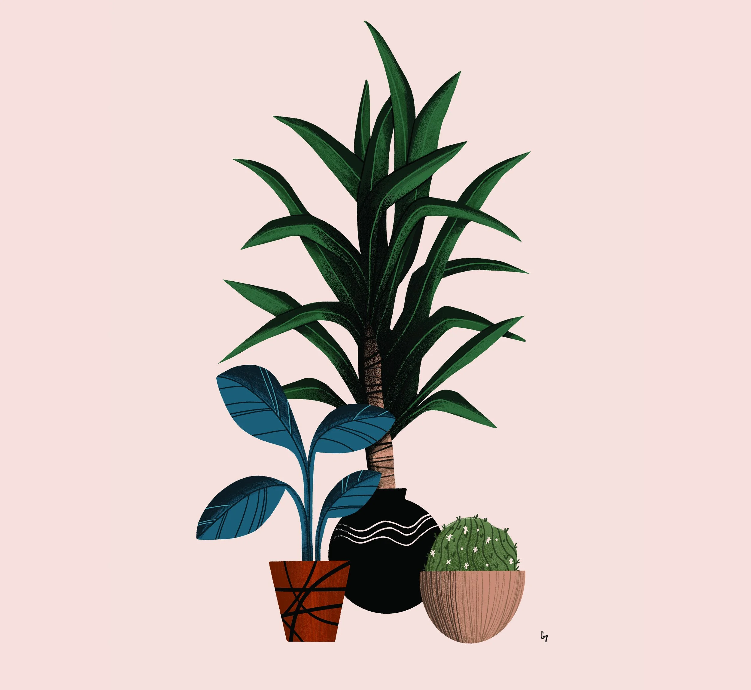 Illustration Portfolio — Conor Merriman