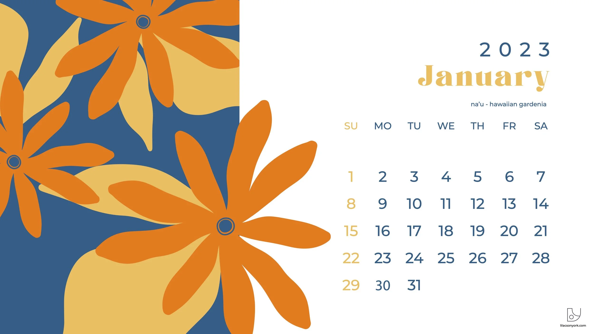 Desktop wallpaper —portfolio and blog