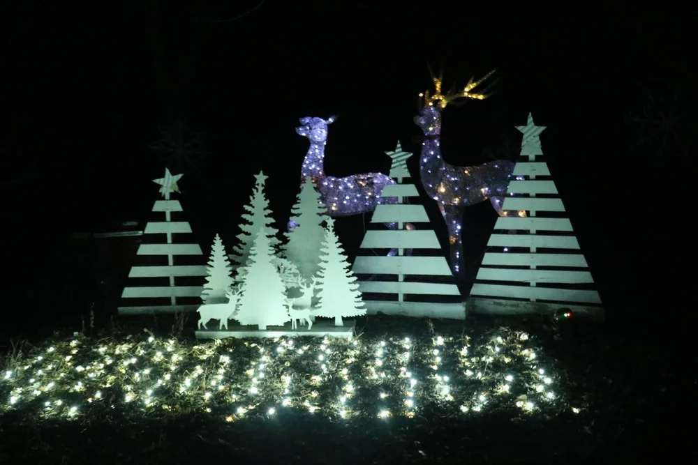 Trail of Lights — Lake Ericson