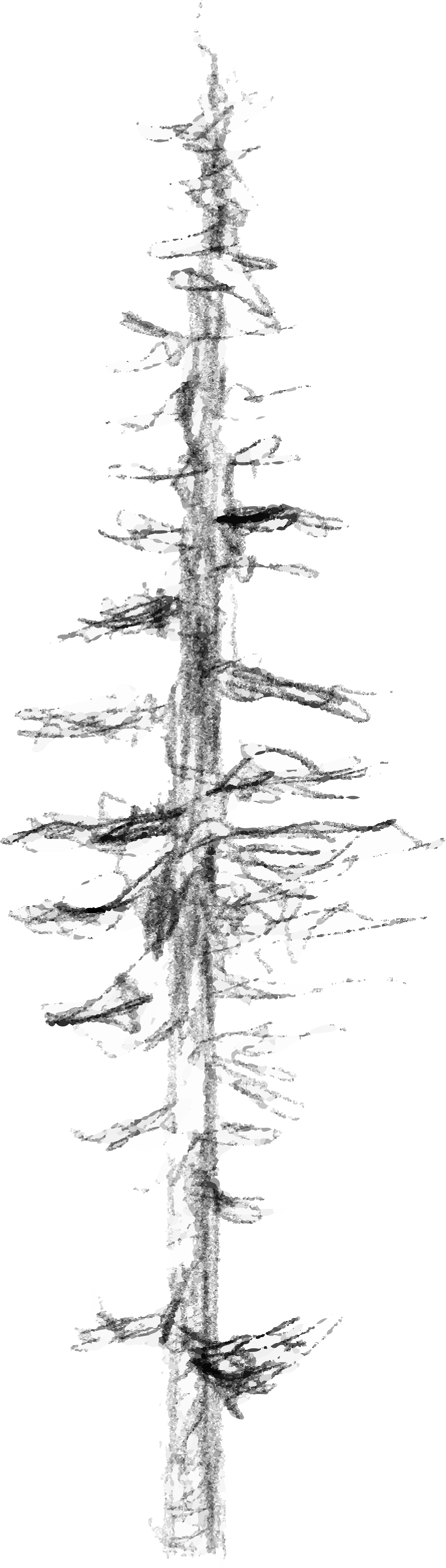 about — beth ortman studio