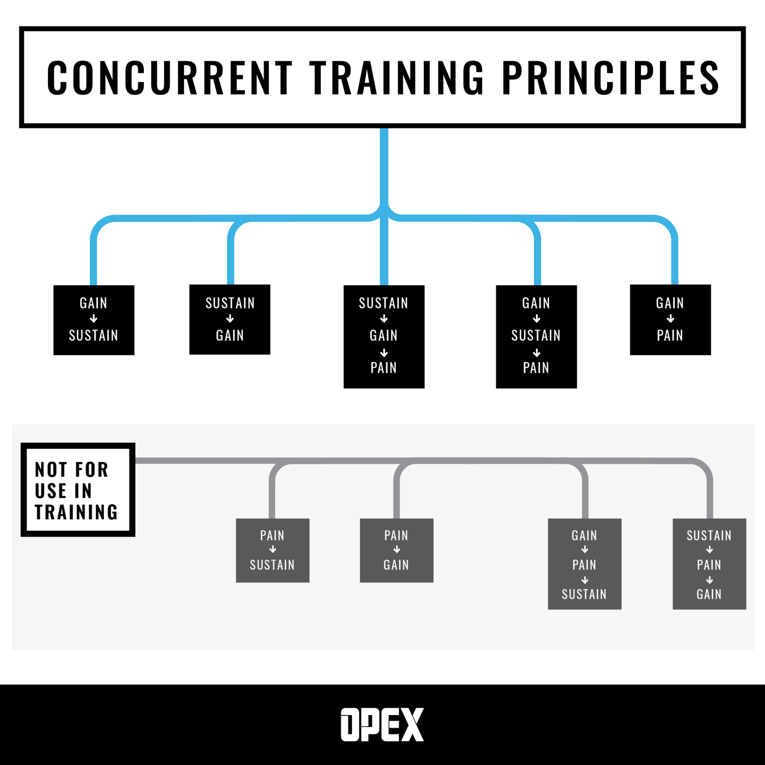 How to Use Daily Concurrent Training — CoachRx