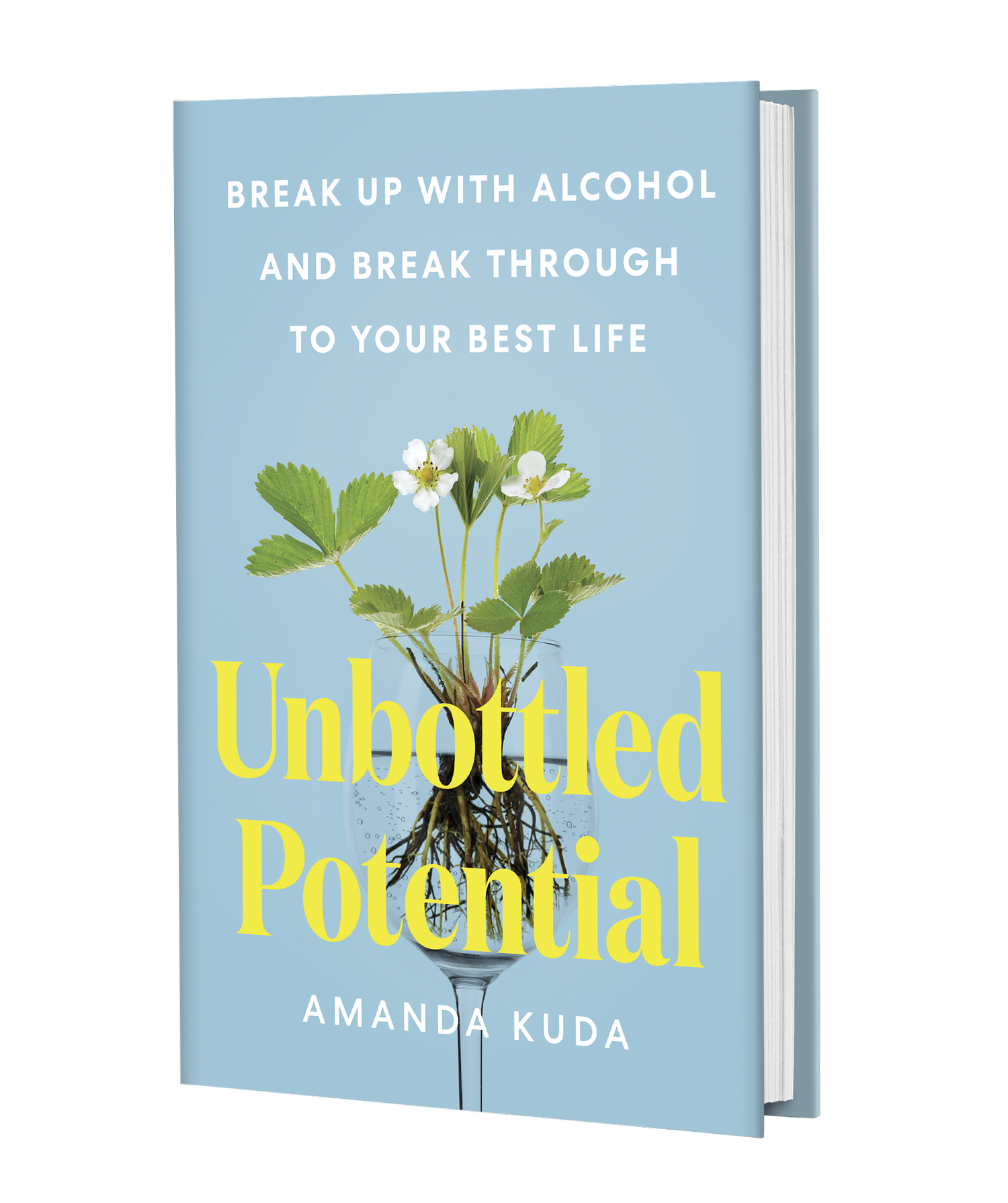 Book — Amanda Kuda | Life Coach For Sober Curious & Alcohol-Free Women