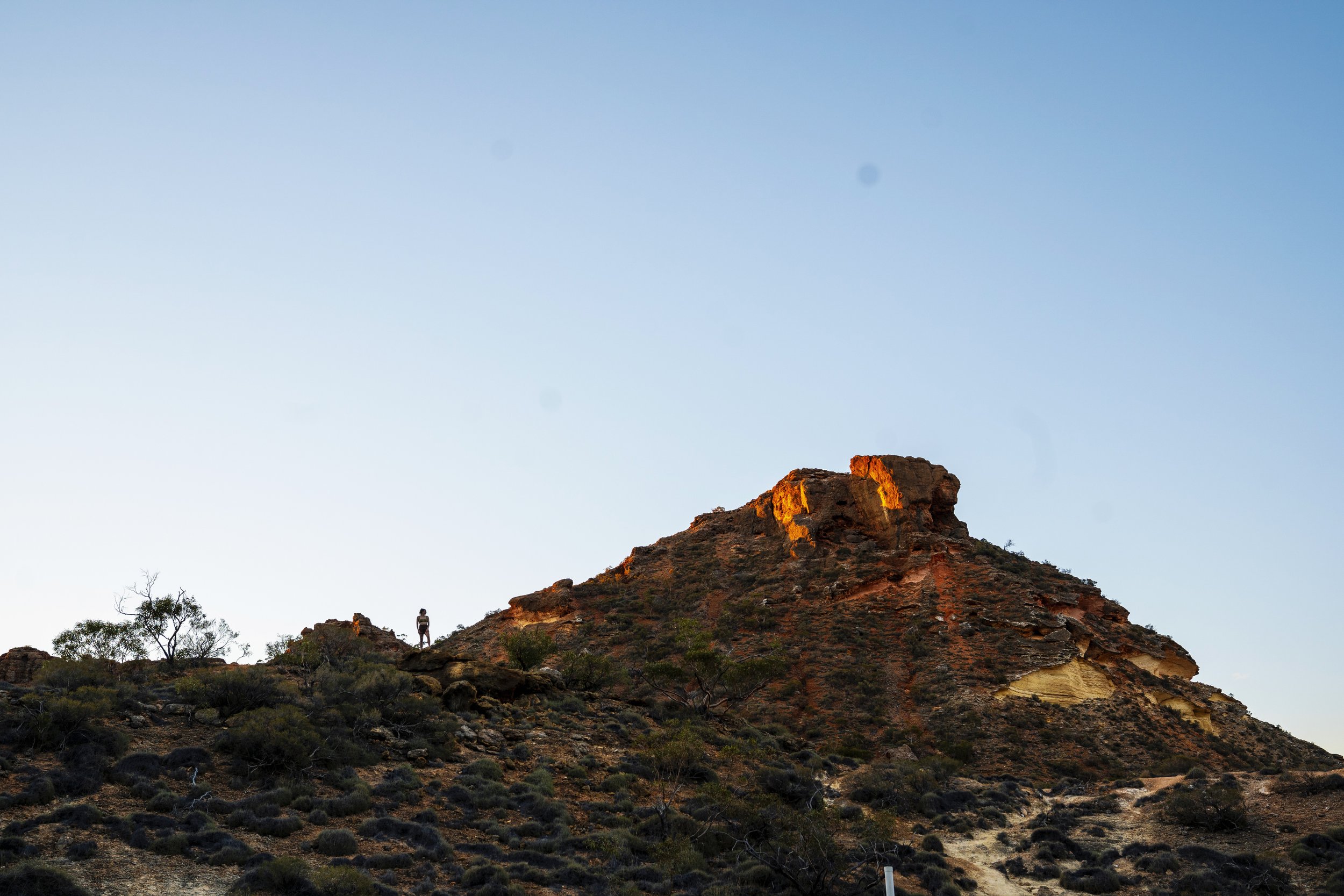 The Dingoes of Exmouth — On The Fence