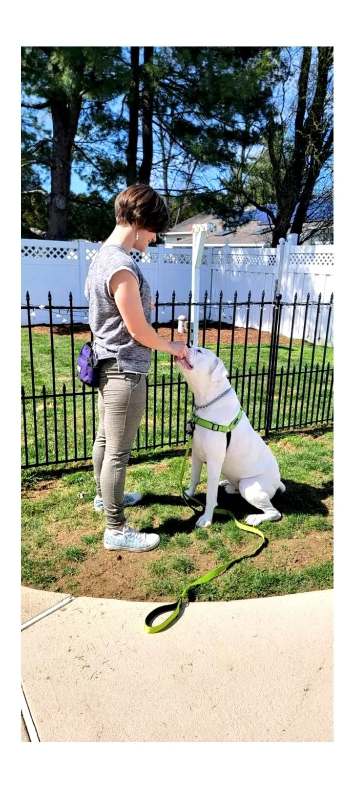Meet the Trainer — Home