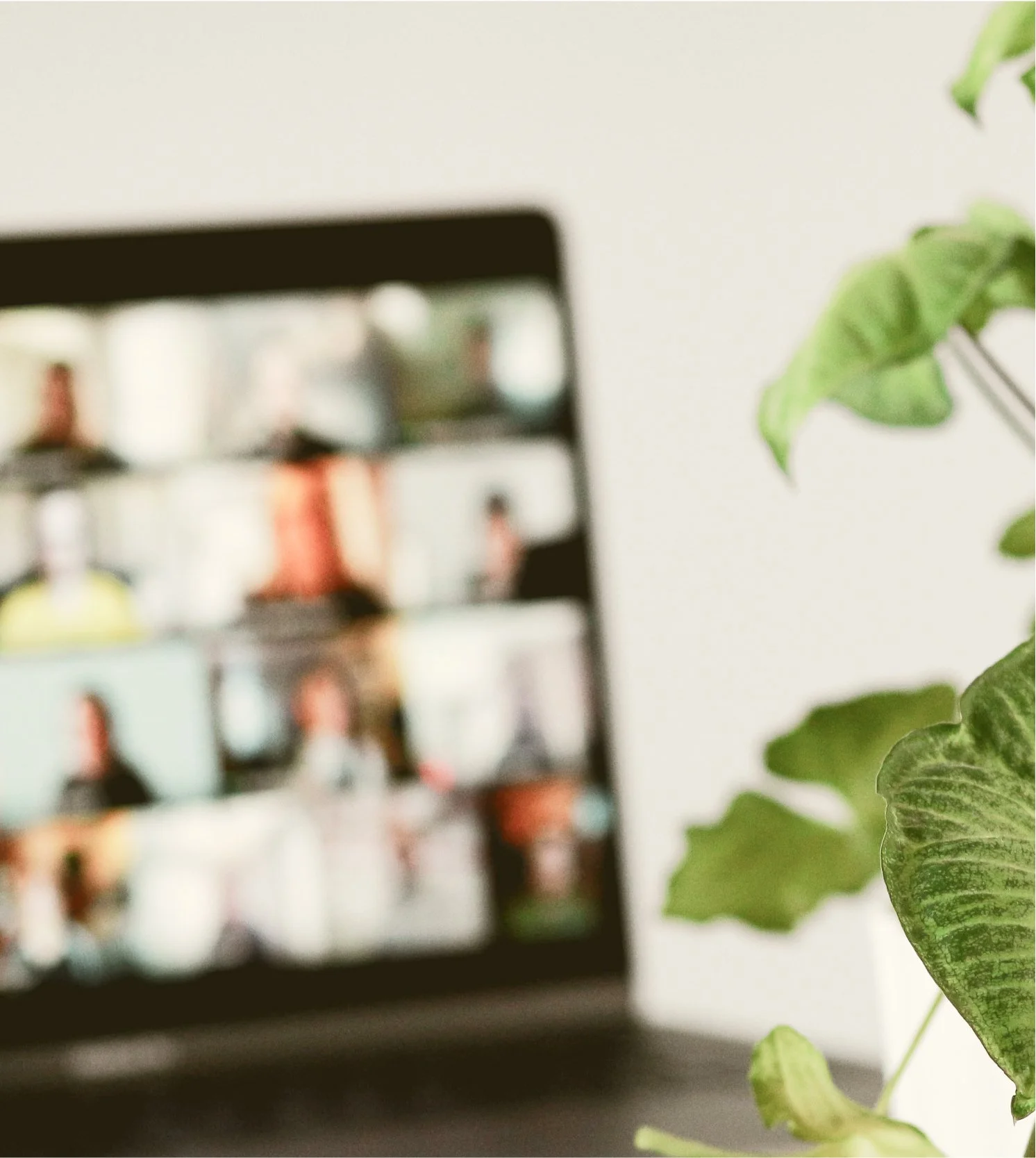 Therapy Services NYC & Miami — Modern Therapy Group