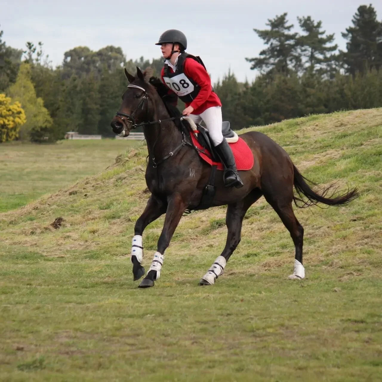 Sumner Valley Riding School