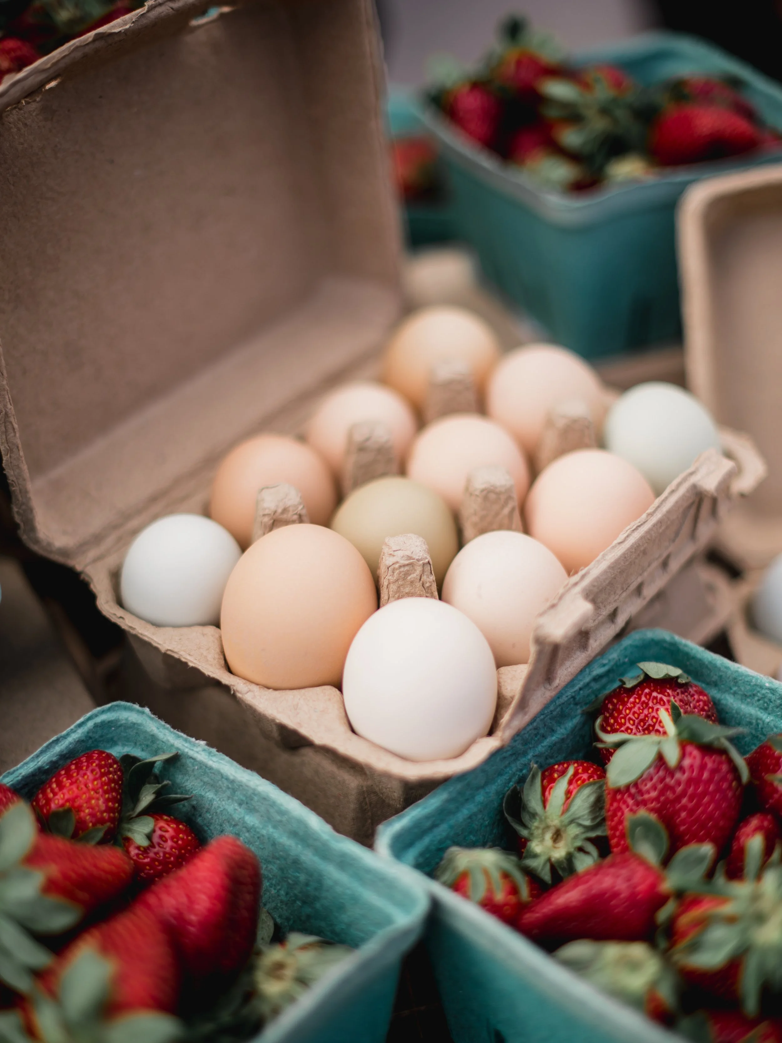 Chucktown Acres | Pastured-Soy Free Poultry | Grass-Fed Beef | Forested ...