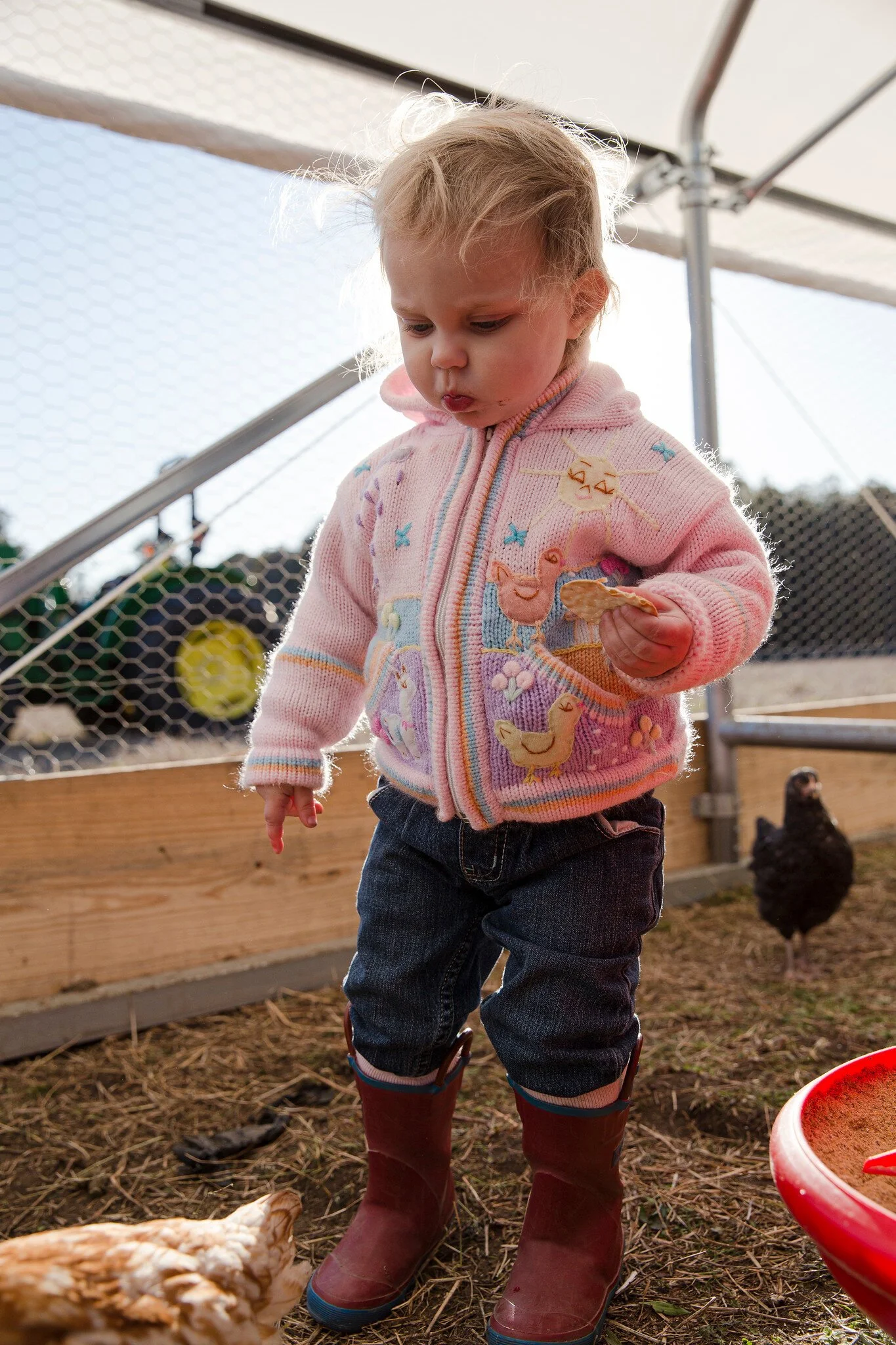 About Us — Chucktown Acres