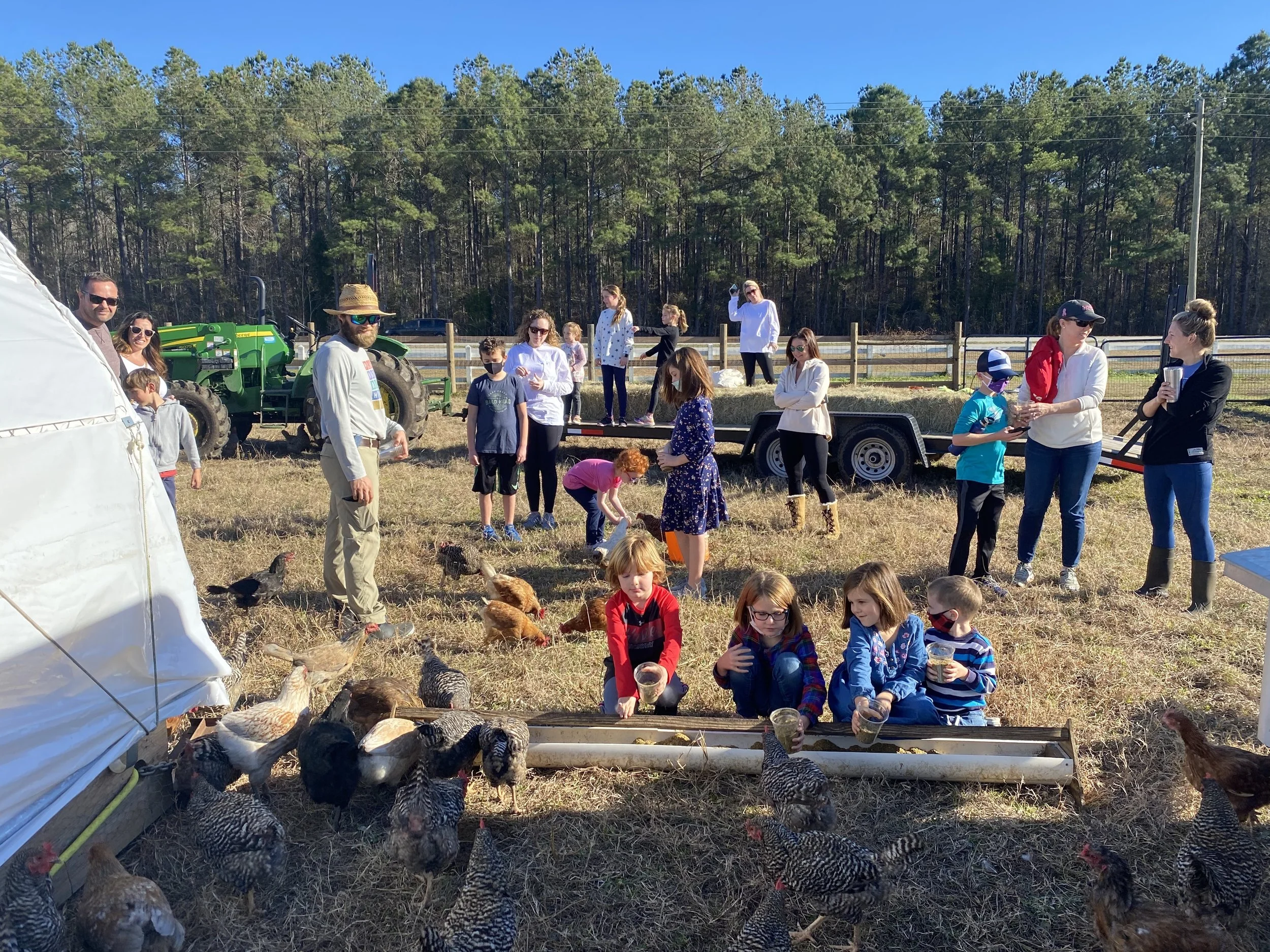 Let's Do Field Trips! — Chucktown Acres