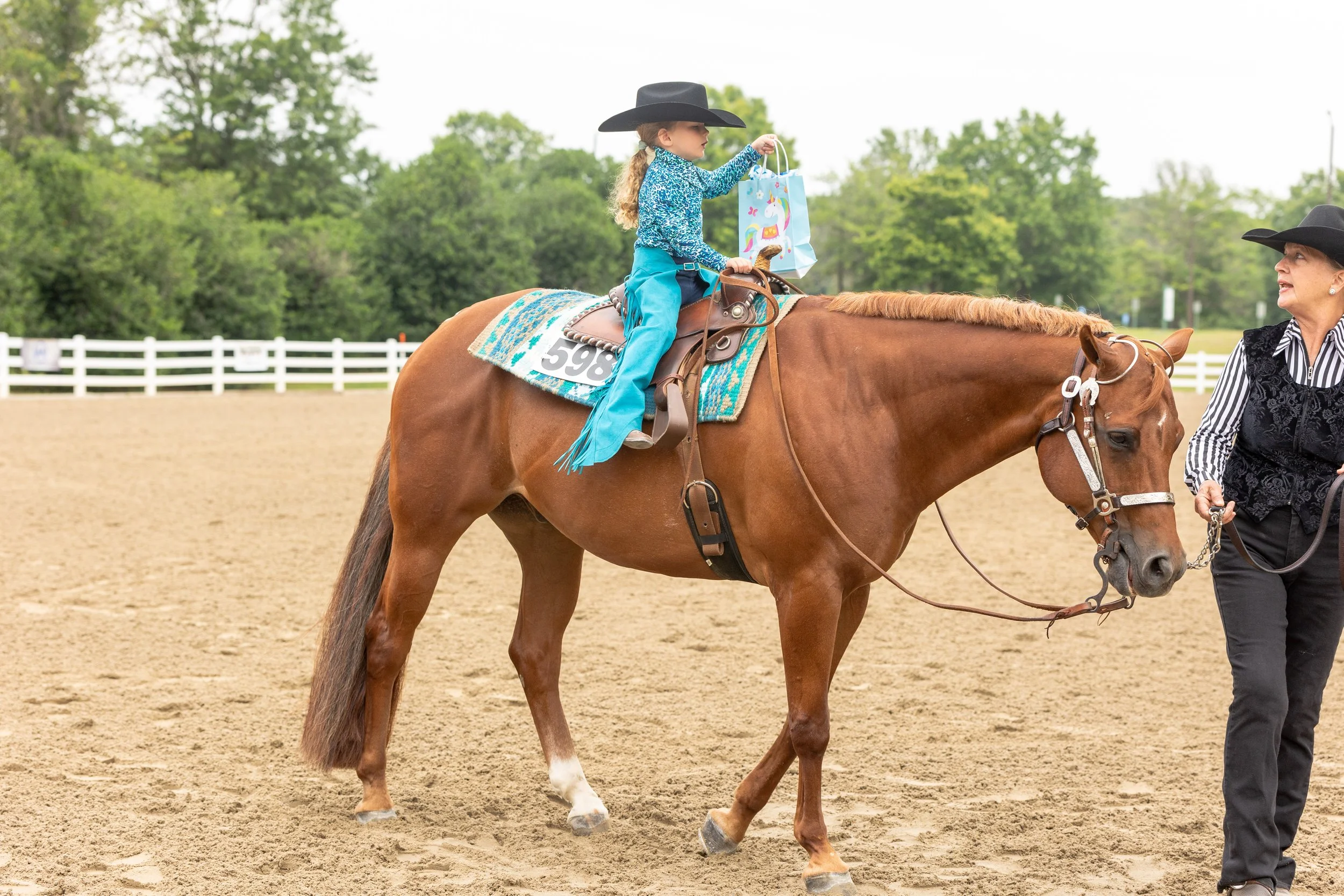 Point Standings — Horseman's Quarter Horse Association