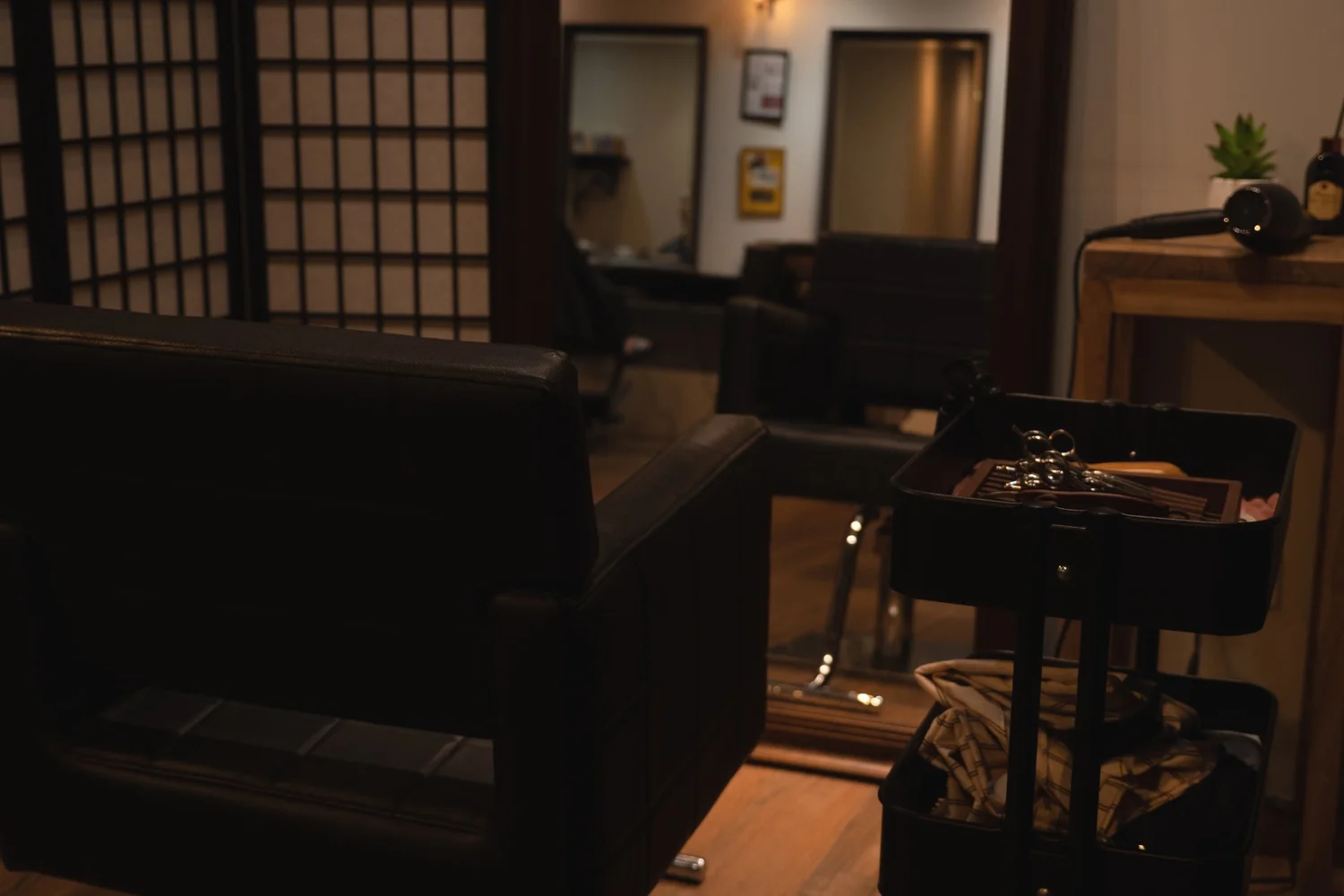 Barber 25 and Lily Head and Hair Spa