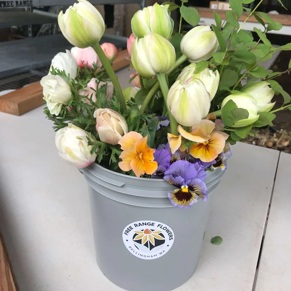 Bulk Bucket of Organically Grown Fresh Flowers for DIY Arrangements ...