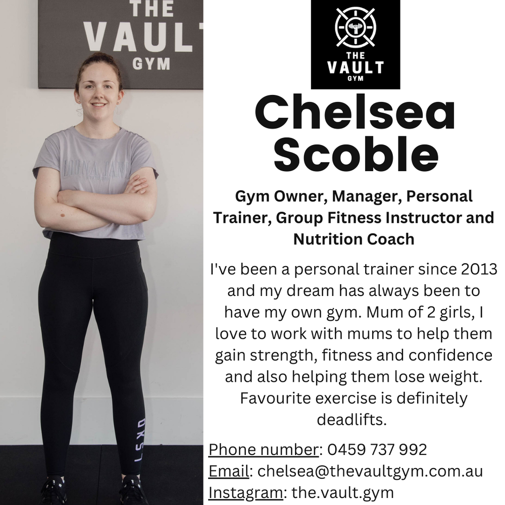 Trainers — The Vault Gym