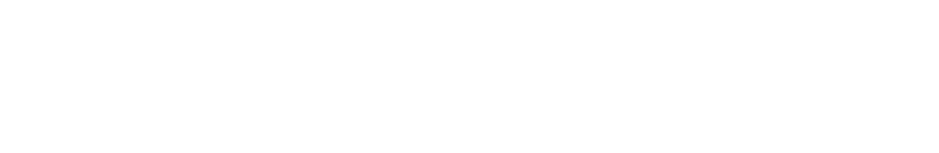 Momentum Media