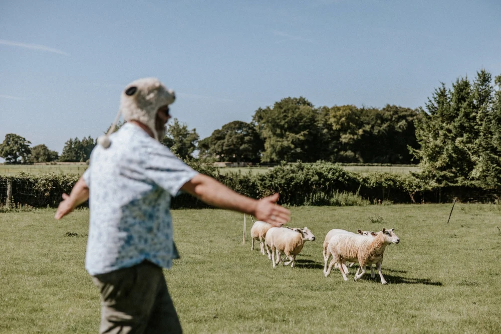 Special Offers including discounted Longleat tickets — Church Farm Cottages