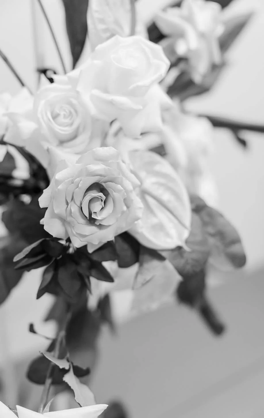 Floral Art Academy