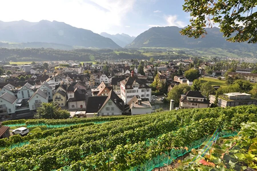 Institut Justizforschung