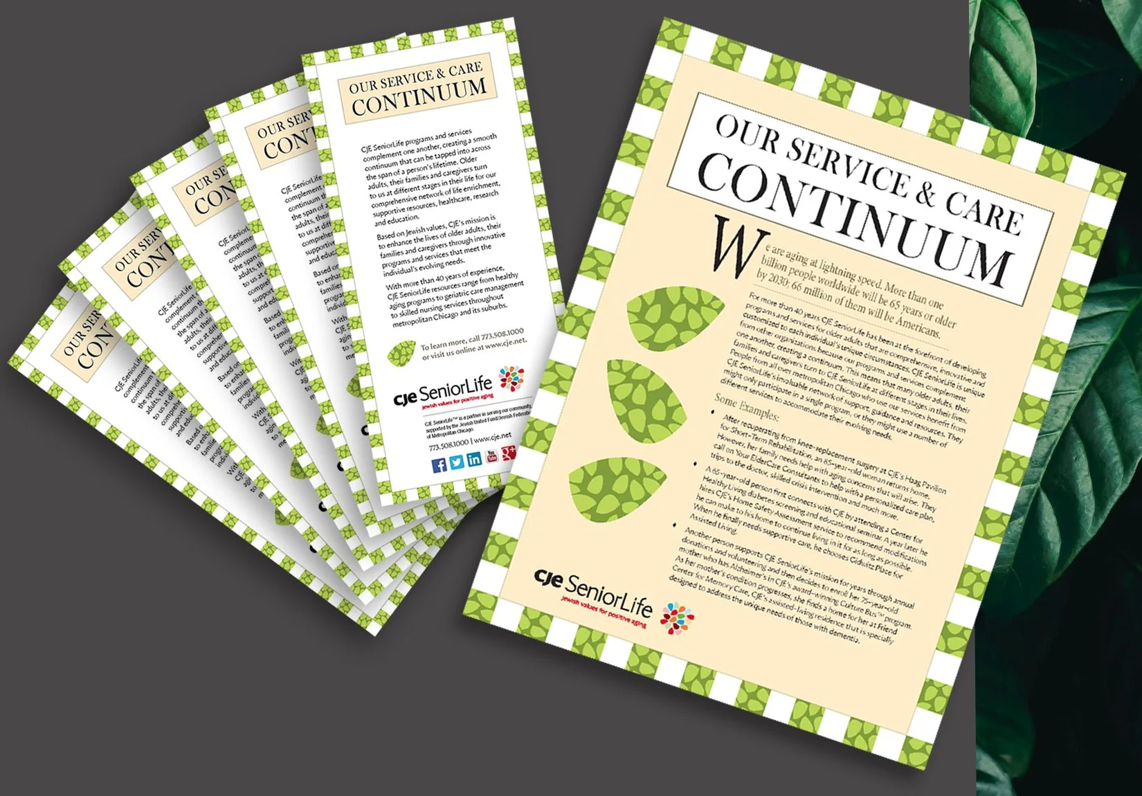 CJE SeniorLife: Brochure — Imbo Gallery