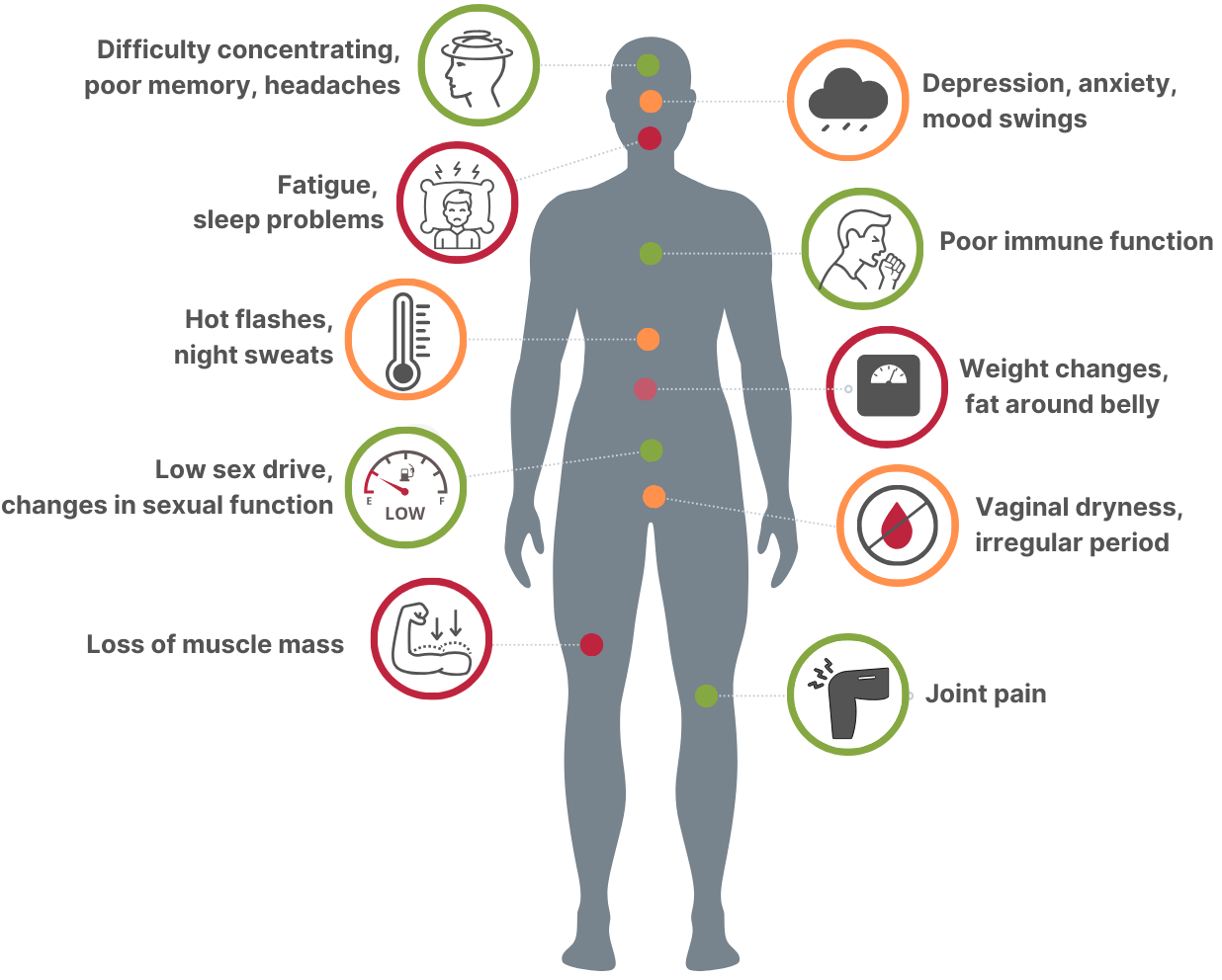Hormone Resources — Mtn Hlth