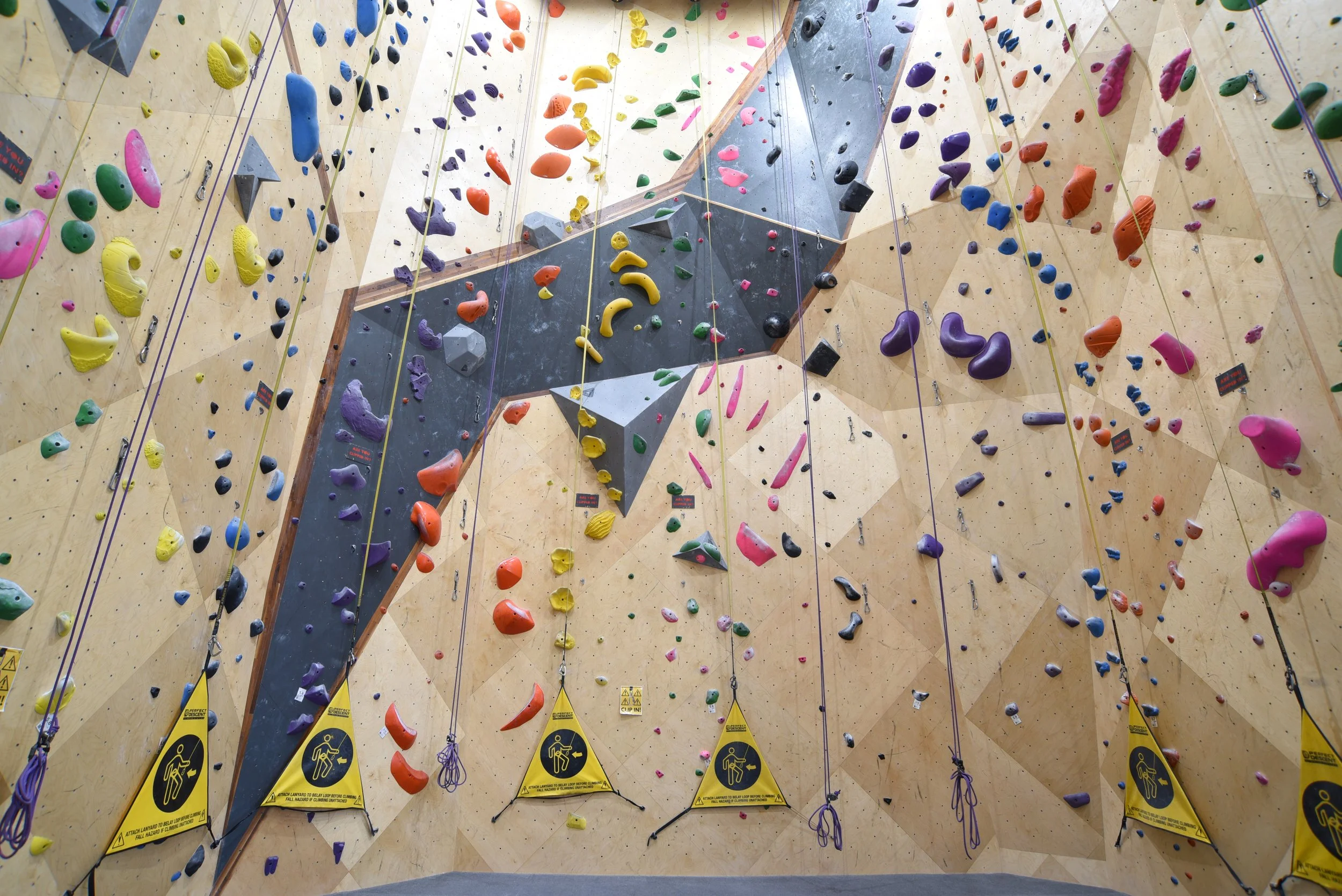 Virginia Beach Climbing, Yoga, & Fitness | Latitude Climbing