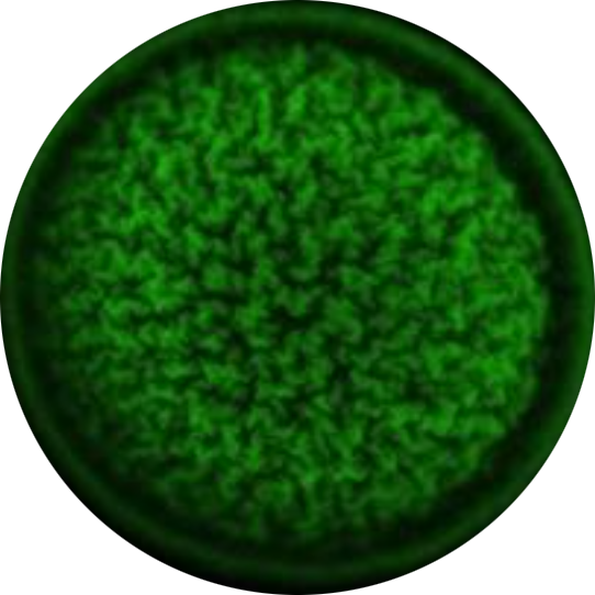 How It Works — AnaBio | Microencapsulation of Sensitive Ingredients