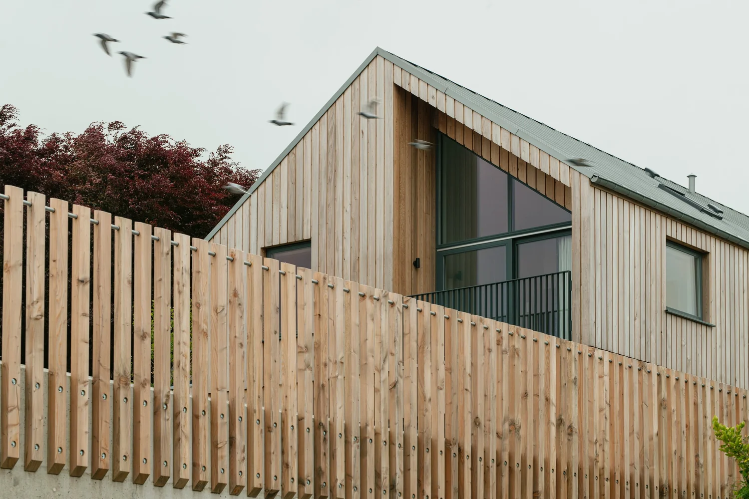 Contemporary sustainable home in Cornwall — Dig Architects
